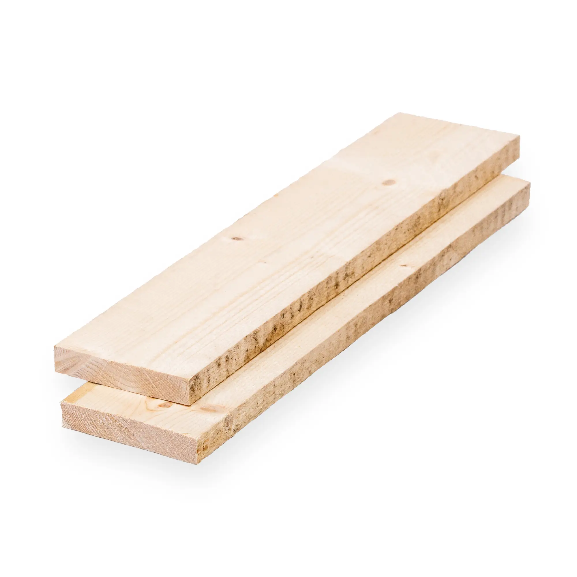 Scandura Dimensionata – 3ml – Mondia Forest